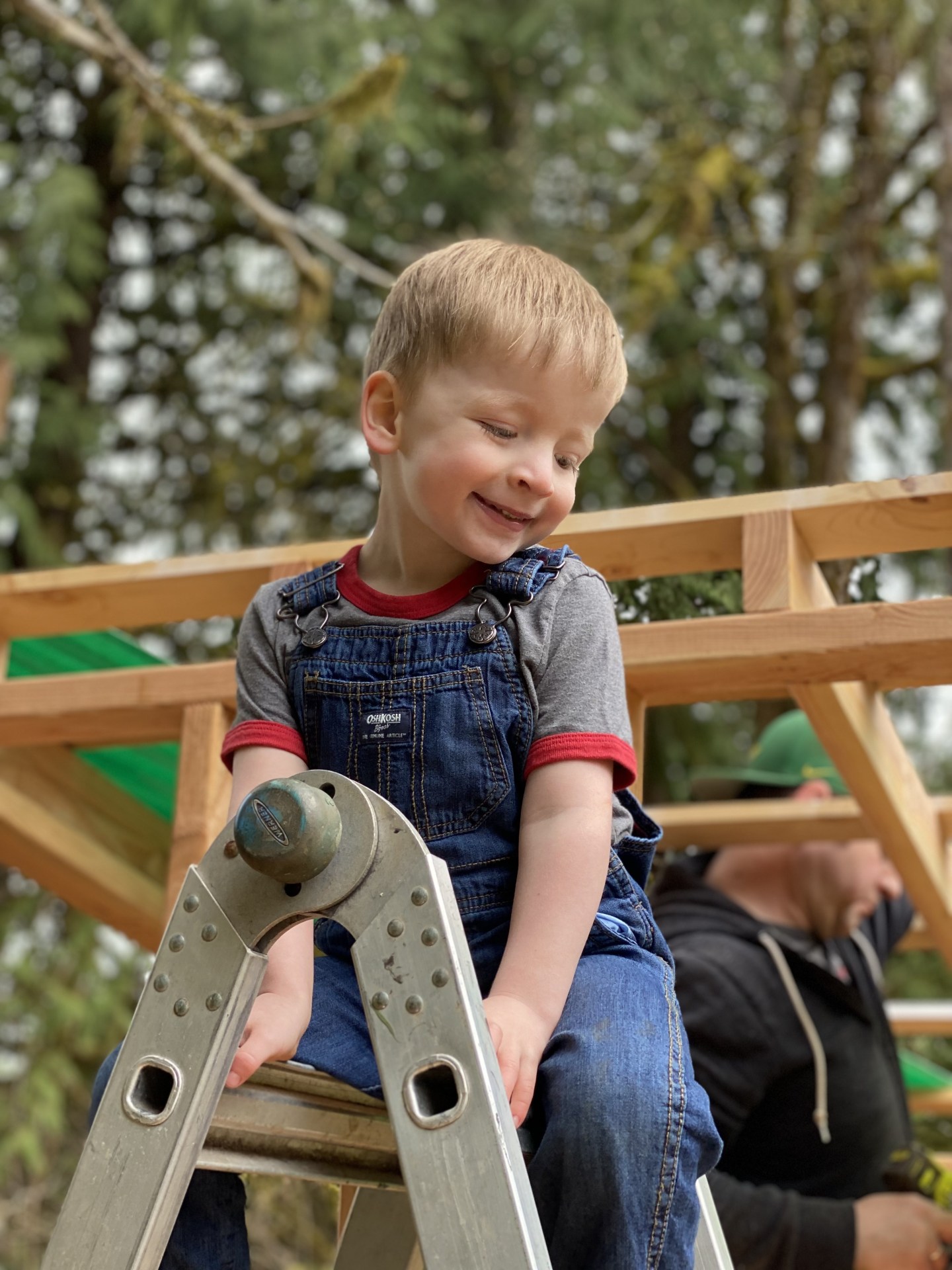 Building a Backyard Pirate Ship: Step-by-Step Guide – Rockin' the Dots